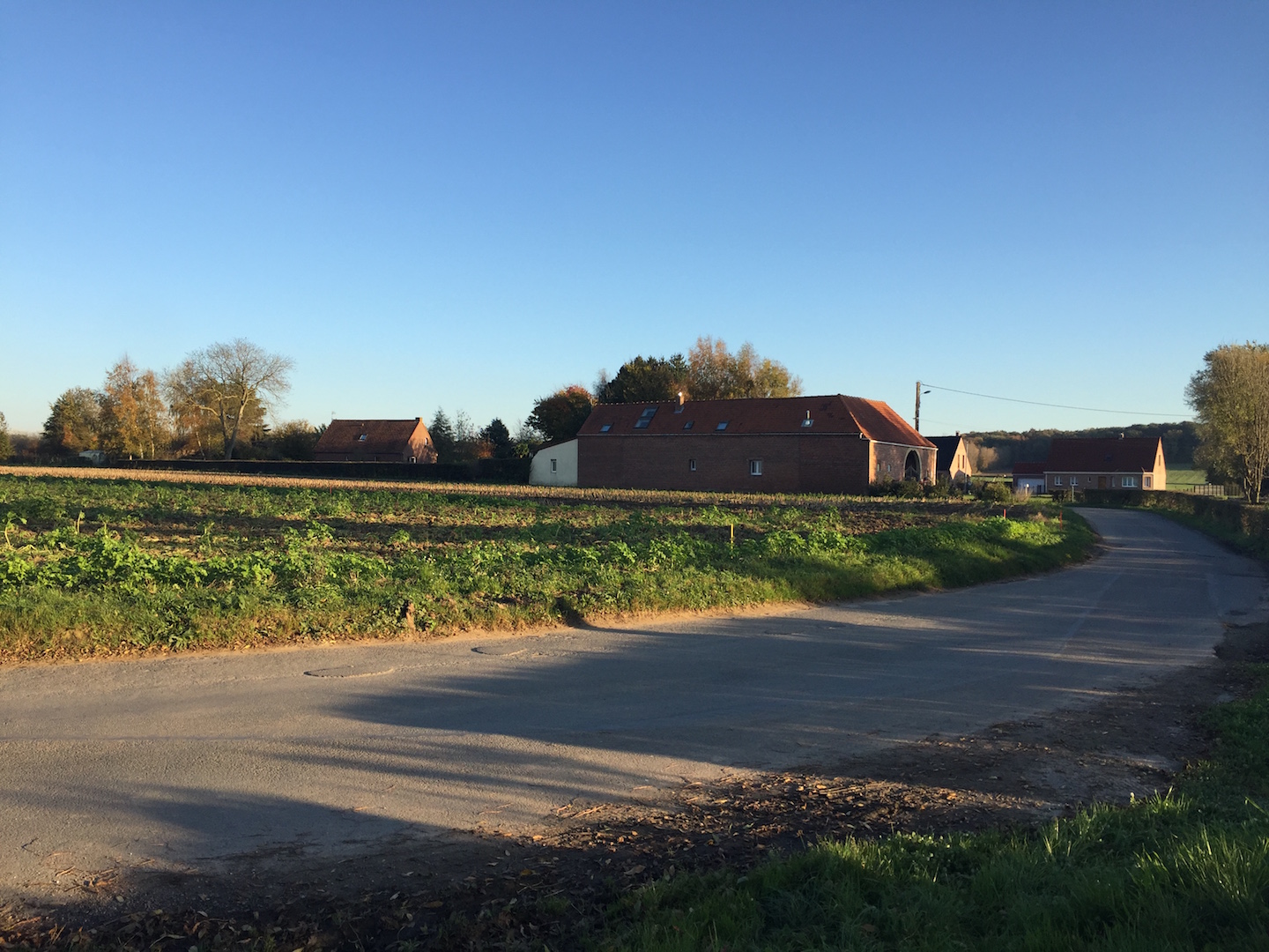 WITTERNESSE - Terr-immo - Aménageur foncier